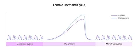 Premium Vector Female Hormones Lifestyle Graph Estrogen And Progesterone Diagram In The Woman