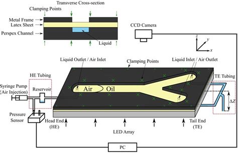 schematic diagram of the experimental set up download scientific diagram
