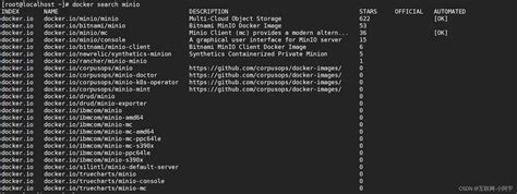 Docker Minio