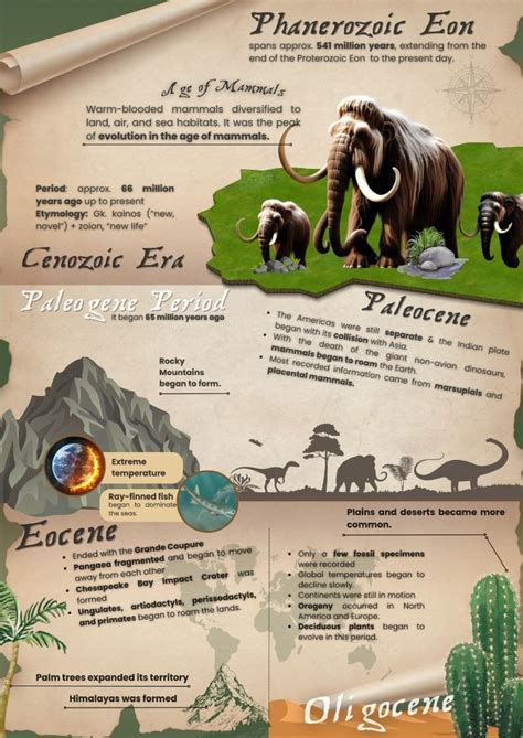 Phanerozoic Eon Infographic Infographic Present Day English Words