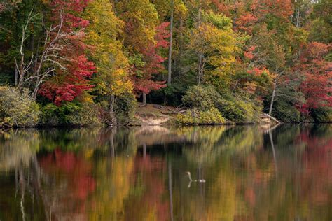 Guide To Fall Foliage On The Blue Ridge Parkway North Carolina — Soda
