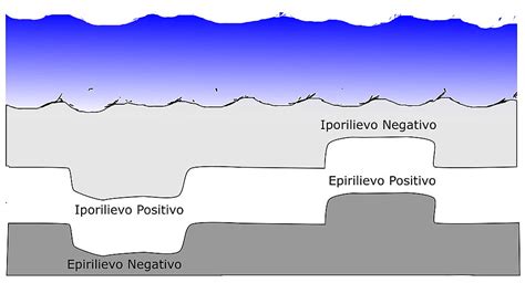 Lichnofossile Treptichnus Pedum