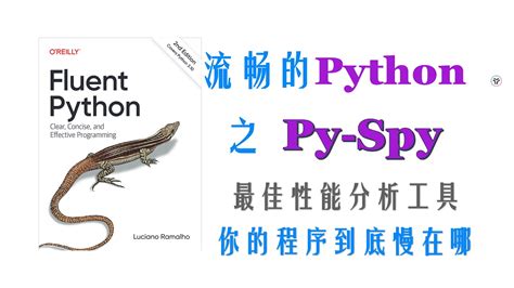【python进阶】py Spy—最佳性能分析工具,你的程序到底慢在哪 Youtube 【python进阶】py Spy—最佳性能分析工具,你的程序到底慢在哪 Youtube