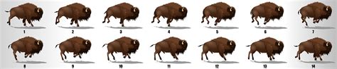 bison run cycle animation frames loop animation sequence sprite sheet