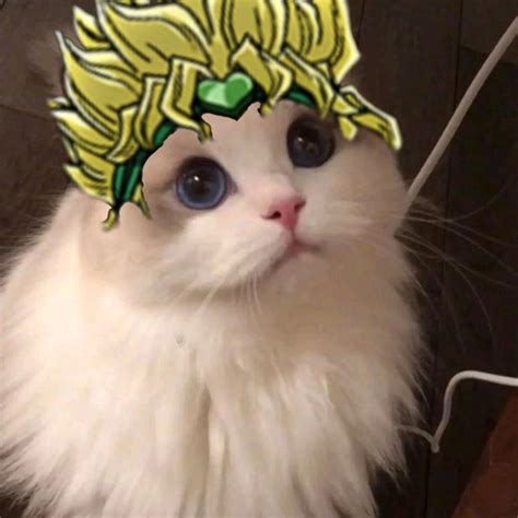 Jojo猫头像（自制） 哔哩哔哩