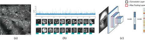 Selective Attention Based Modulation For Continual Learning Ai Research Paper Details