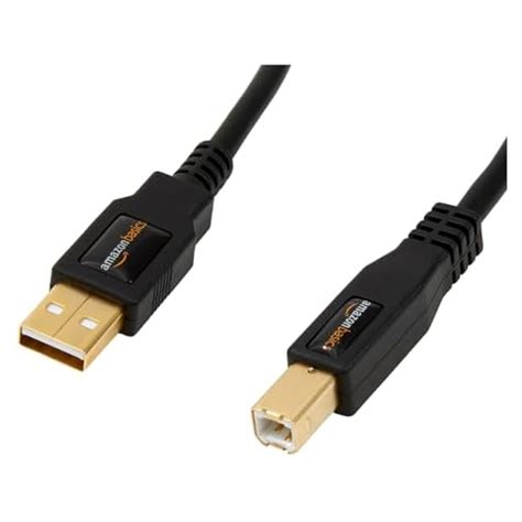 What Is A Digital Camera Input Or Output Camera Reviews