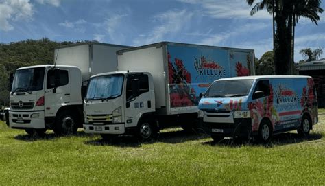 Killuke Nursery Garden And Landscaping Plants