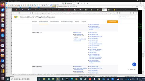 Chromium Ozone Wayland If We Could Run The Chromium Application Using X Windowmanager Nxp