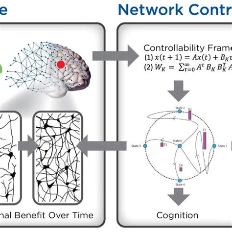Network Control Theory And The Connectome Network Control Theory Is A Download Scientific