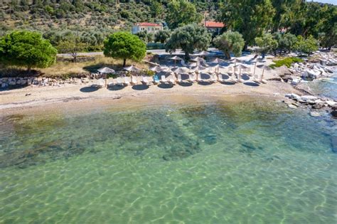 App Hotel Marti Resort Skala Sotiros Turistička Agencija Salvador