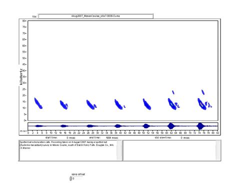 Echolocation Bats U S National Park Service
