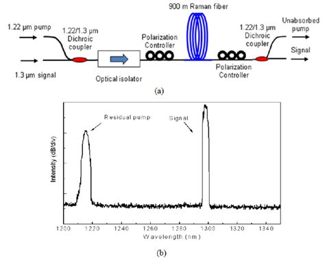 Raman Amplifier Explained At Debra Helton Blog