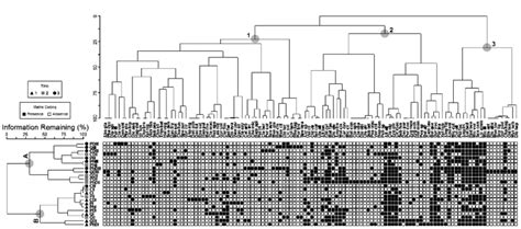 Two Way Cluster Analysis Performed Using Euclidean Distance Measure And Download Scientific