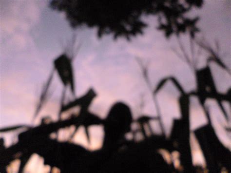 Para Masturbar La Retina P Gina Web De Vaganciaexquisita