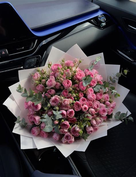 Cu I C Ng Anh C Ng T M Th Y Em Vivutruyen Net