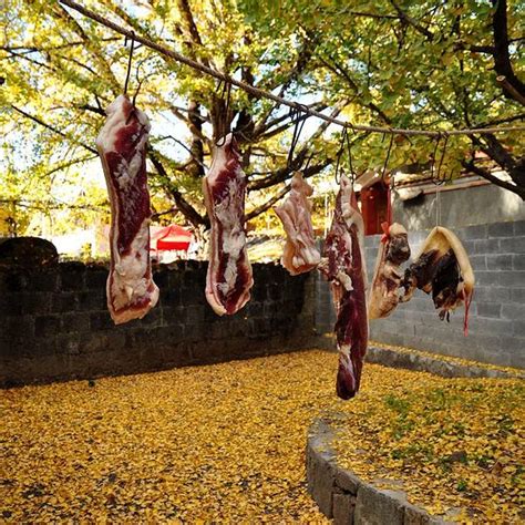 保山银杏村旅游攻略 腾冲银杏村旅游略 腾冲银杏村游玩略 第7页 大山谷图库