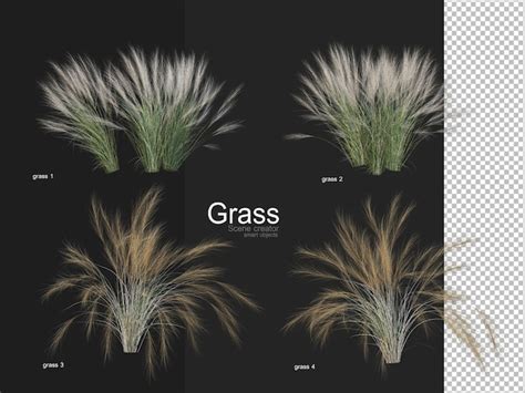 Premium PSD Various Types Of Grass Rendering