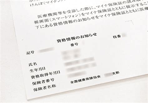 「資格情報のお知らせ」って知ってる？ マイナ保険証がトラブルで使えないときは…〈qanda⑦〉：東京新聞デジタル