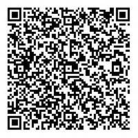 Rhizome Blog City Of QR Codes