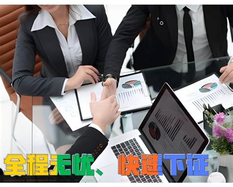 旅行社业务经营许可证旅行社设立申请旅行社分社设立备案国内和入境旅游业务旅行社设立