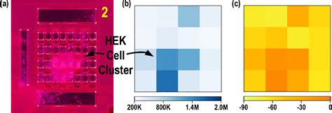 Figure 21 From A Cmos Multi Modal Electrochemical And Impedance Cellular Sensing Array For