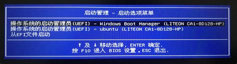 彻底删除ubuntu Efi分区及启动项 Csdn博客