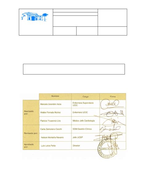 Gcl 10 Protocolo Rcp Avanzada Pdf