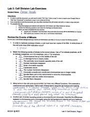 Lab 3 Cell Division 1 Pdf Lab 3 Cell Division Lab Exercises JX U T Jeneh Babe Name