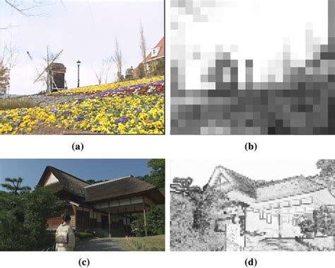 Visual Distortion Sensitivity Maps For Sequences Flower And Kimono1 A
