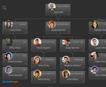 BALKAN OrgChartJS Software Informer