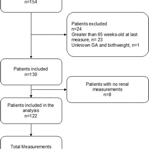 Flowchart Of The Patients Included Download Scientific Diagram