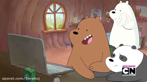 خرس های کله قندیزبان اصلی