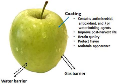Non Medical Applications Of Chitosan Nanocomposite Coatings Encyclopedia Mdpi