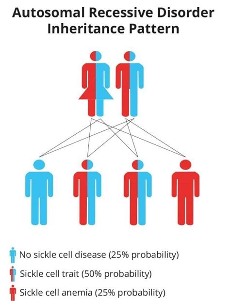 Sickle Cell Anemia Vaso Occlusive Crisis Symptoms And Treatment