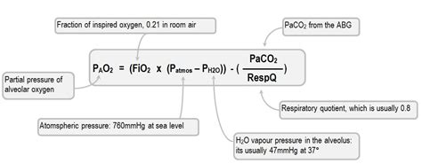 The Oxygen Cascade Deranged Physiology The Oxygen Cascade Deranged Physiology