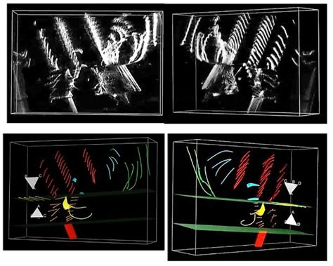 Dislocation Tomography 3d Dislocation Model Download Scientific Diagram