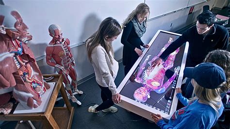 Anatomage Table 12 3d Interactive Medical Education