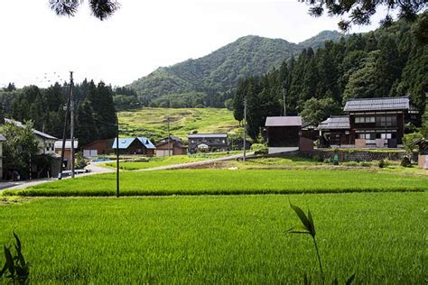 三条市下田郷の道祖神 nb779 2