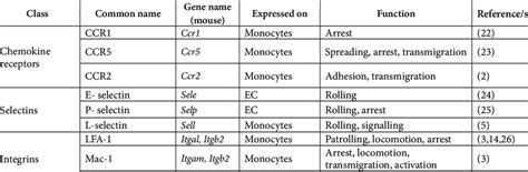 Chemokines Regulating Monocyte Migration Download Scientific Diagram