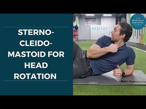 Sternocleidomastoid Muscle Exercises Trigger Point Release For