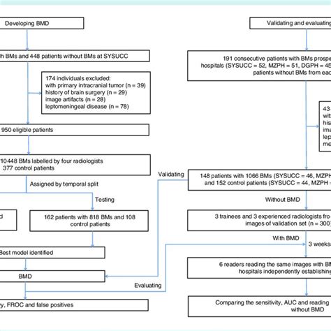 Flow Diagram For Development Validation And Multi Reader Evaluation Of Download Scientific