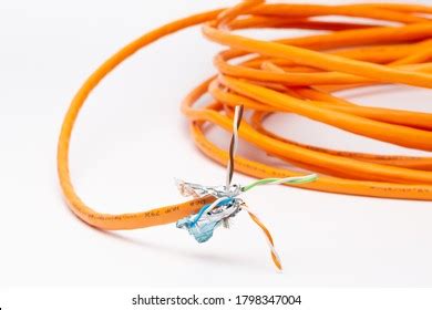Best Ethernet Shield Royalty Free Images Stock Photos Pictures Shutterstock