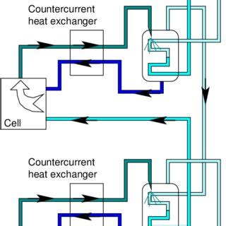 Scheme Of A HTCC With Three Effects Download Scientific Diagram