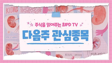 다음주 관심종목지어소프트동양에스텍그린케미칼 Youtube