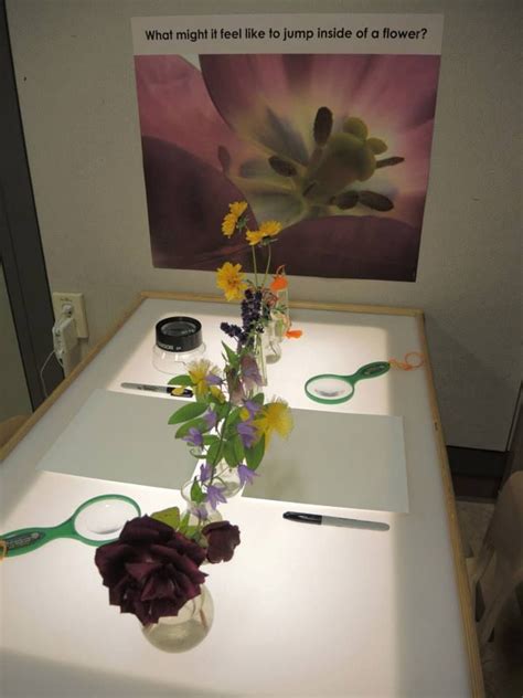 114 Best Images About ECE Exploring On Pinterest Nature The Mud And Classroom