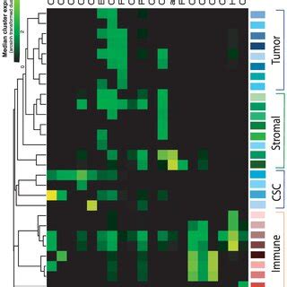 Heatmap Showing The Hierarchical Clustering Of Data Based On The