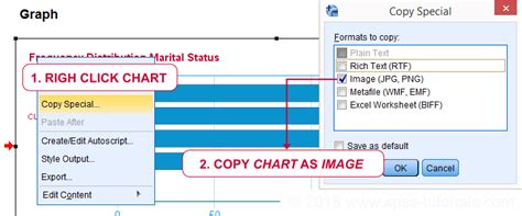 Spss Output Basics Tips Tricks