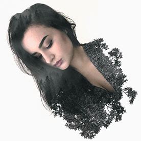 Tree Of Life On Behance