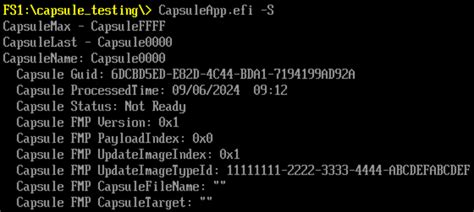 Capsule Updates Dasharo Universe
